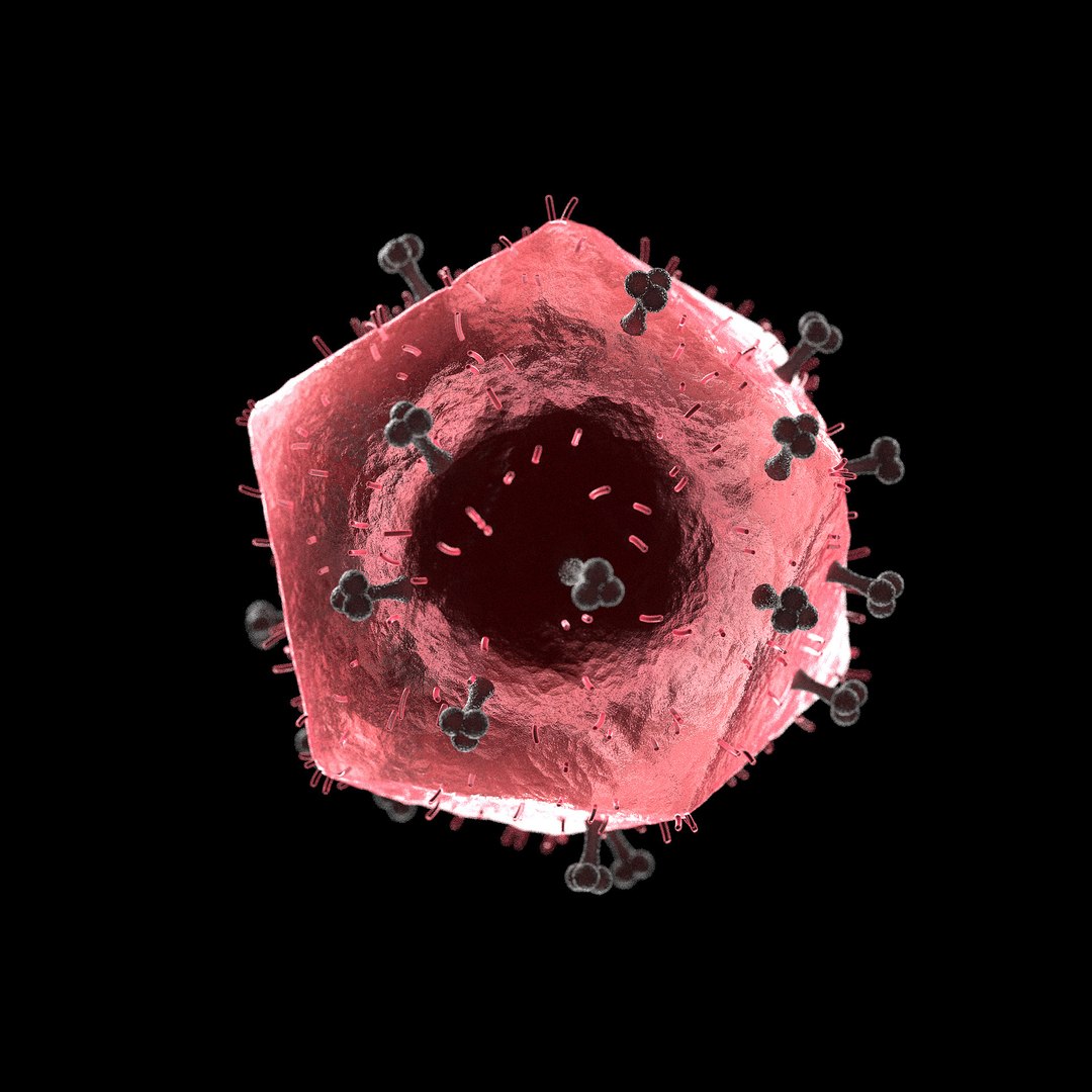 3D microbes micro bacteria cells - TurboSquid 1626082