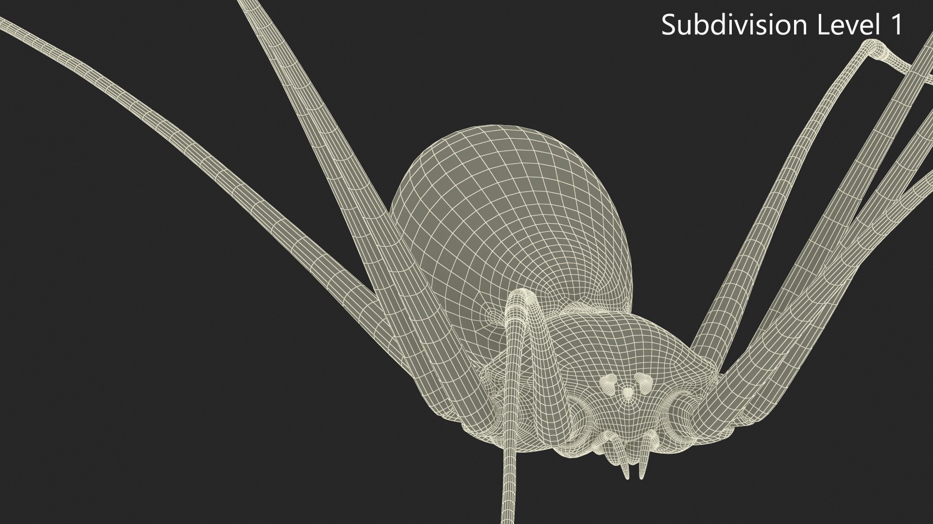 3D Model Daddy Long-legs Spider Fur Rigged - TurboSquid 2270169