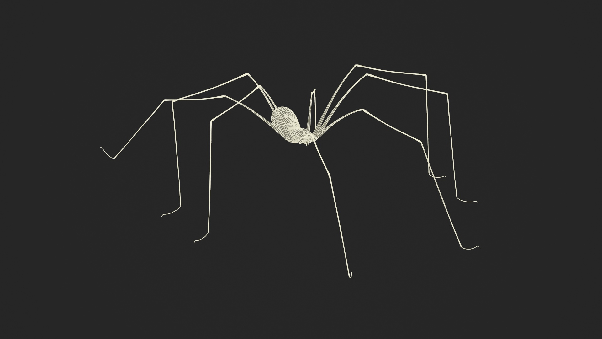 3D Model Daddy Long-legs Spider Fur Rigged - TurboSquid 2270169