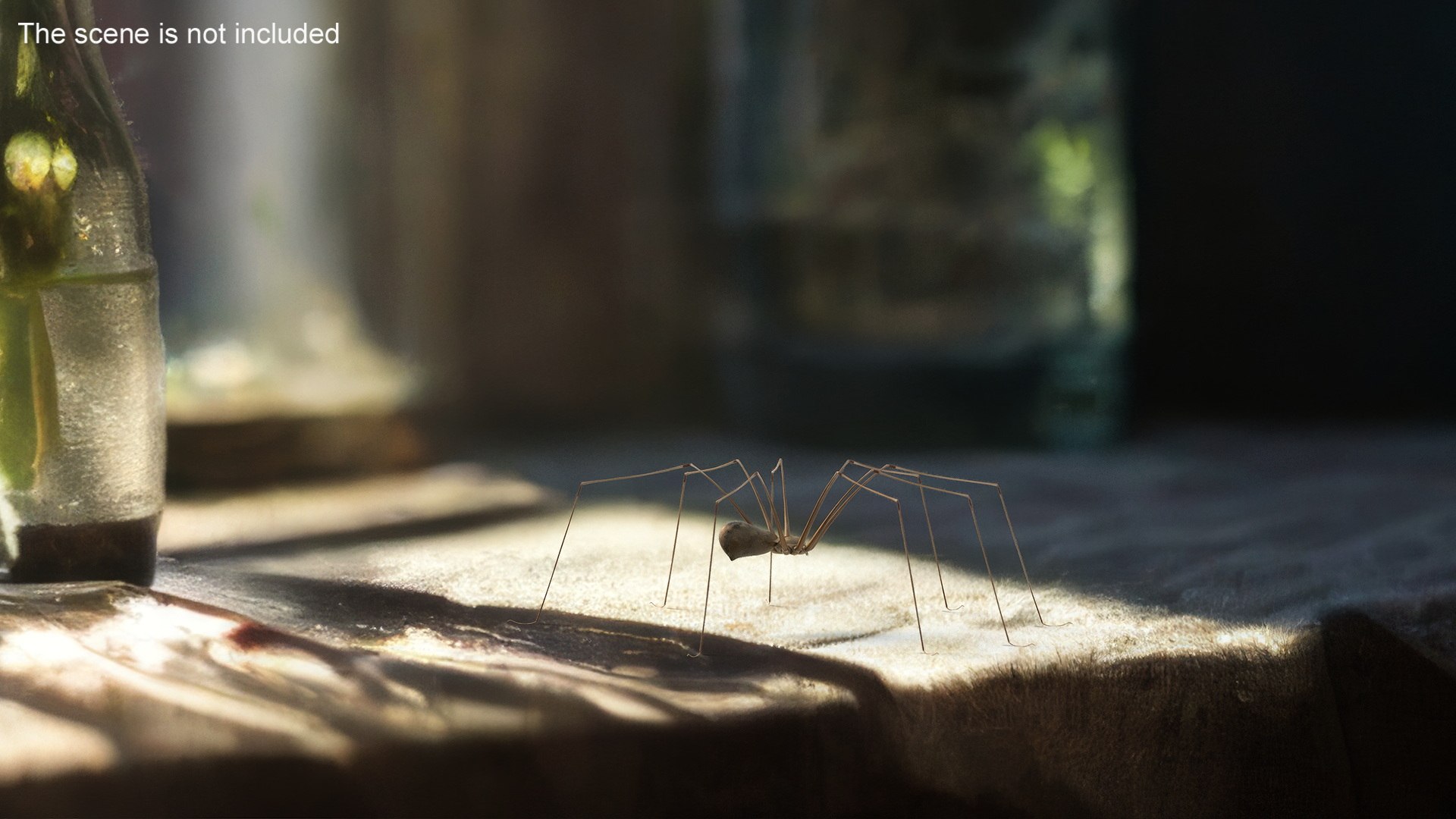 3D Model Daddy Long-legs Spider Fur Rigged - TurboSquid 2270169