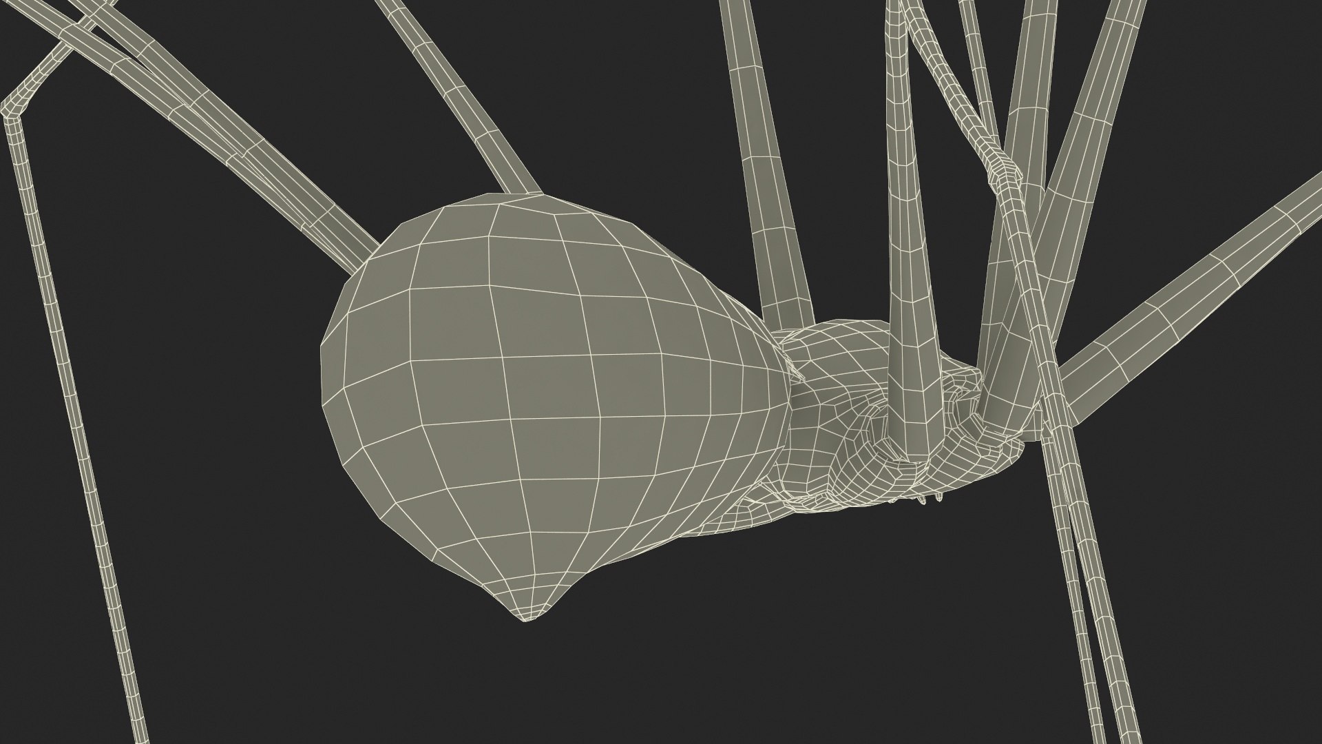 3D Model Daddy Long-legs Spider Fur Rigged - TurboSquid 2270169