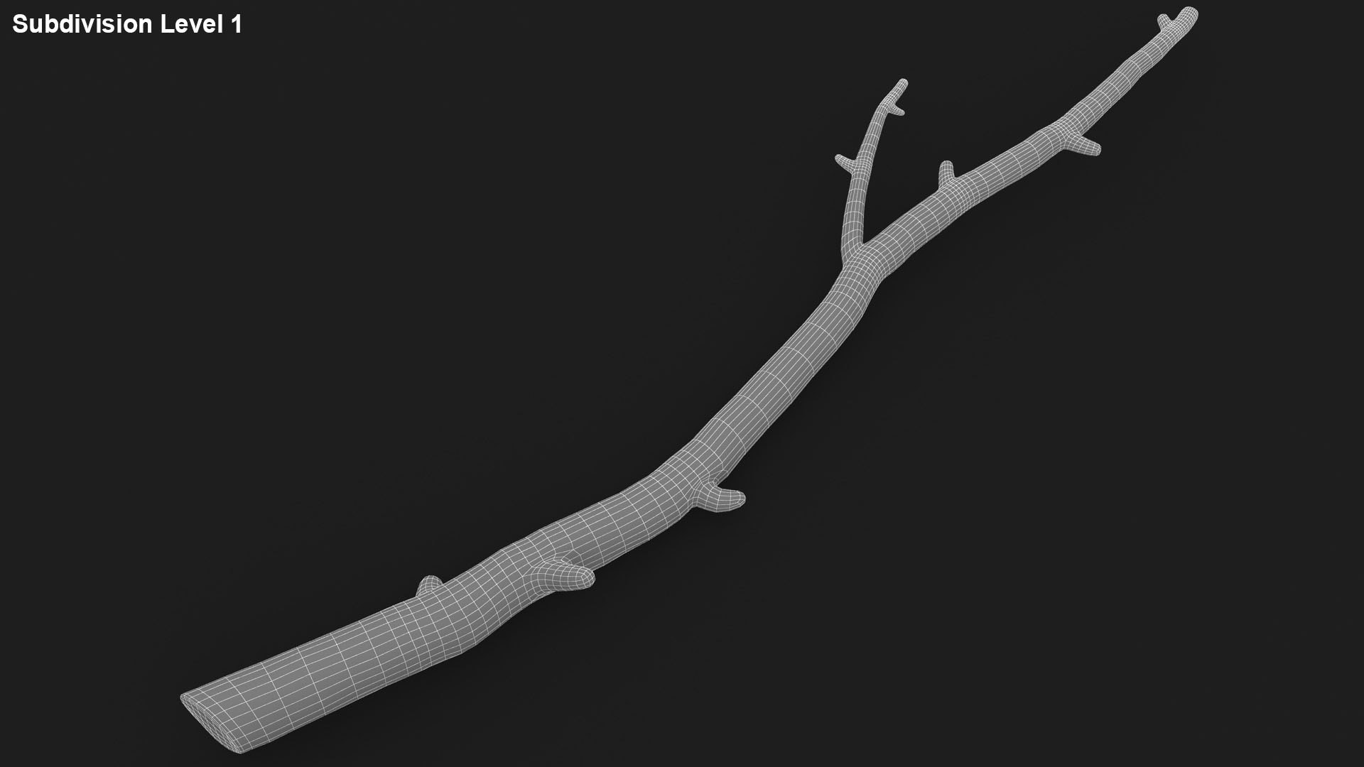 3D branch scanline ready - TurboSquid 1552735
