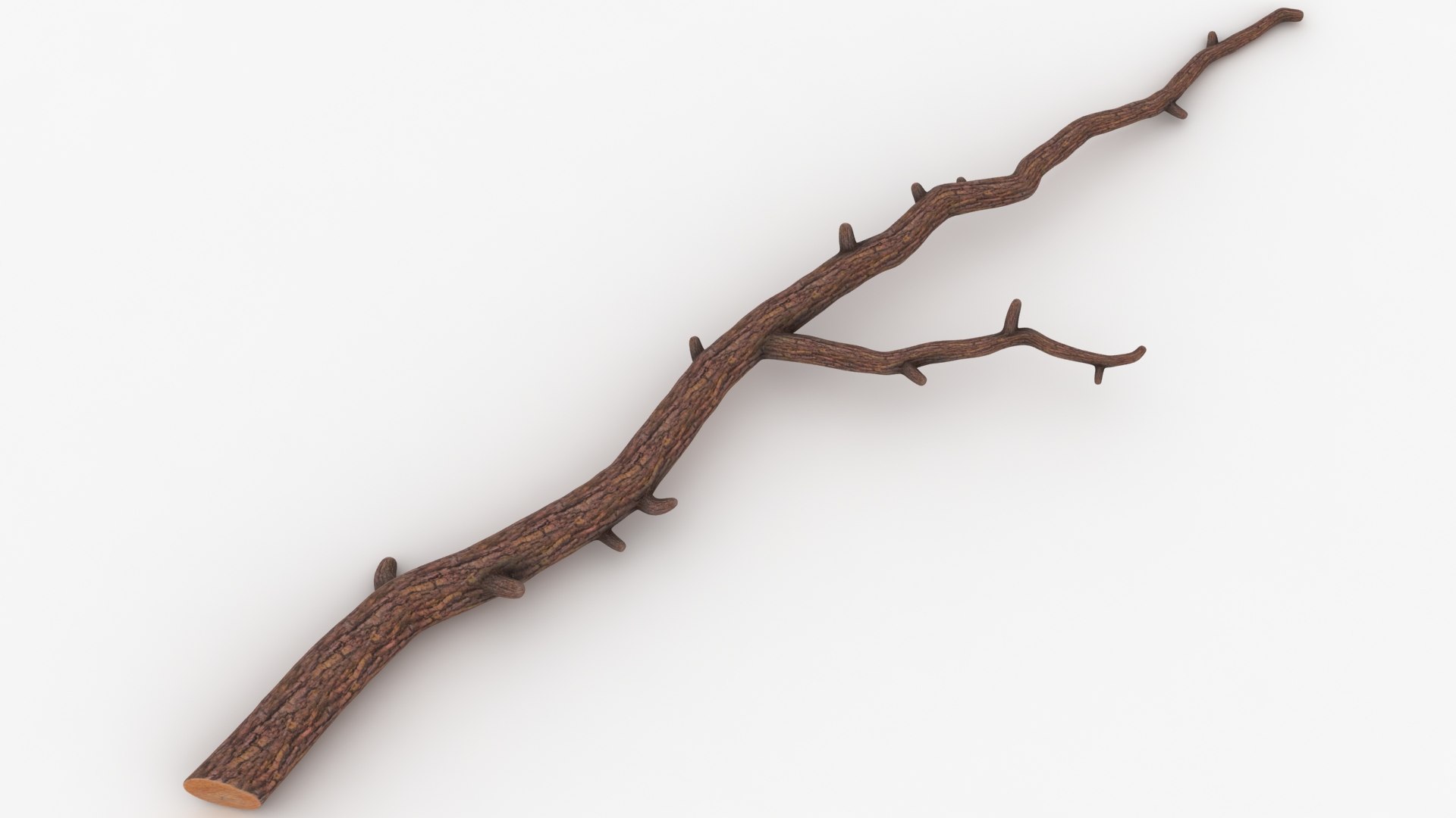 3D branch scanline ready - TurboSquid 1552735