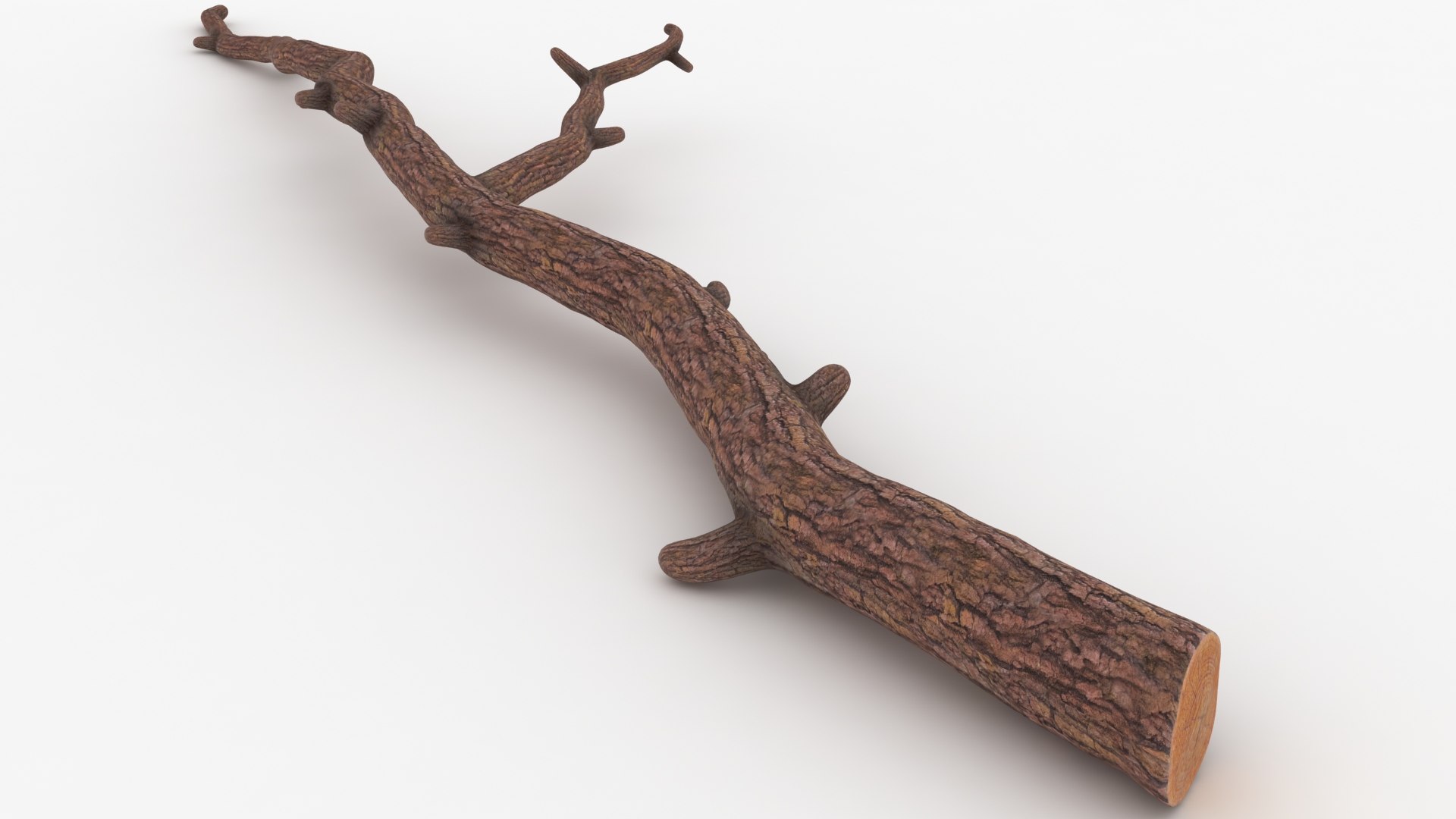 3D branch scanline ready - TurboSquid 1552735