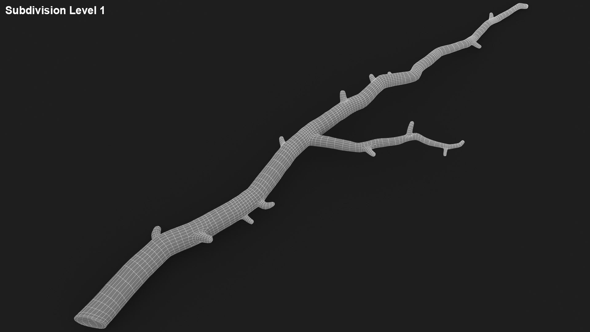3D branch scanline ready - TurboSquid 1552735
