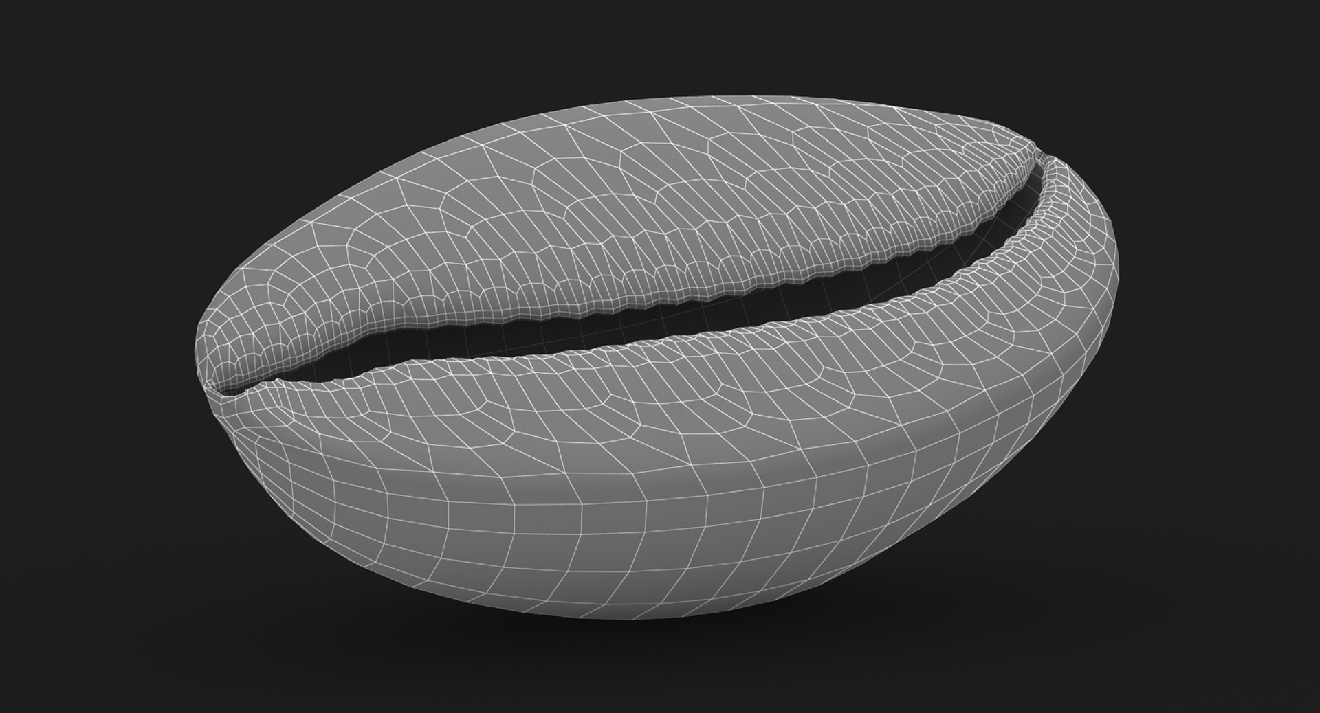 Realistic sea shell set 3D model - TurboSquid 1150992