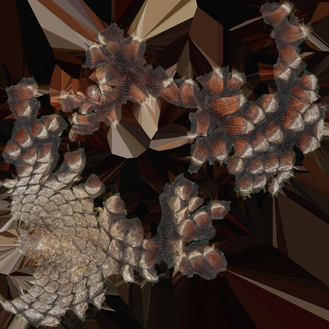 Dried Pine Cone Collection 3D Model - TurboSquid 2307812