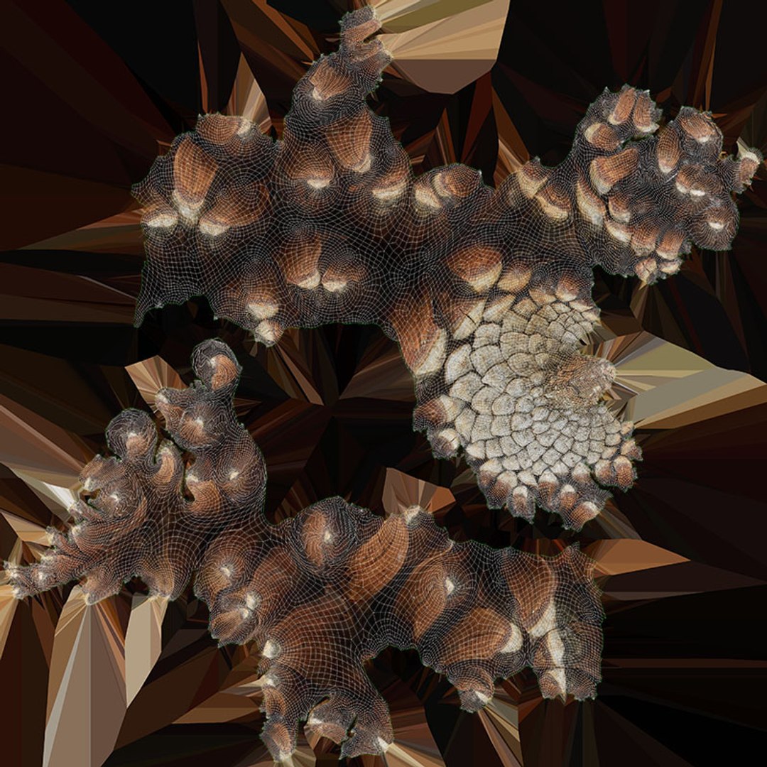 Dried Pine Cone Collection 3D Model - TurboSquid 2307812