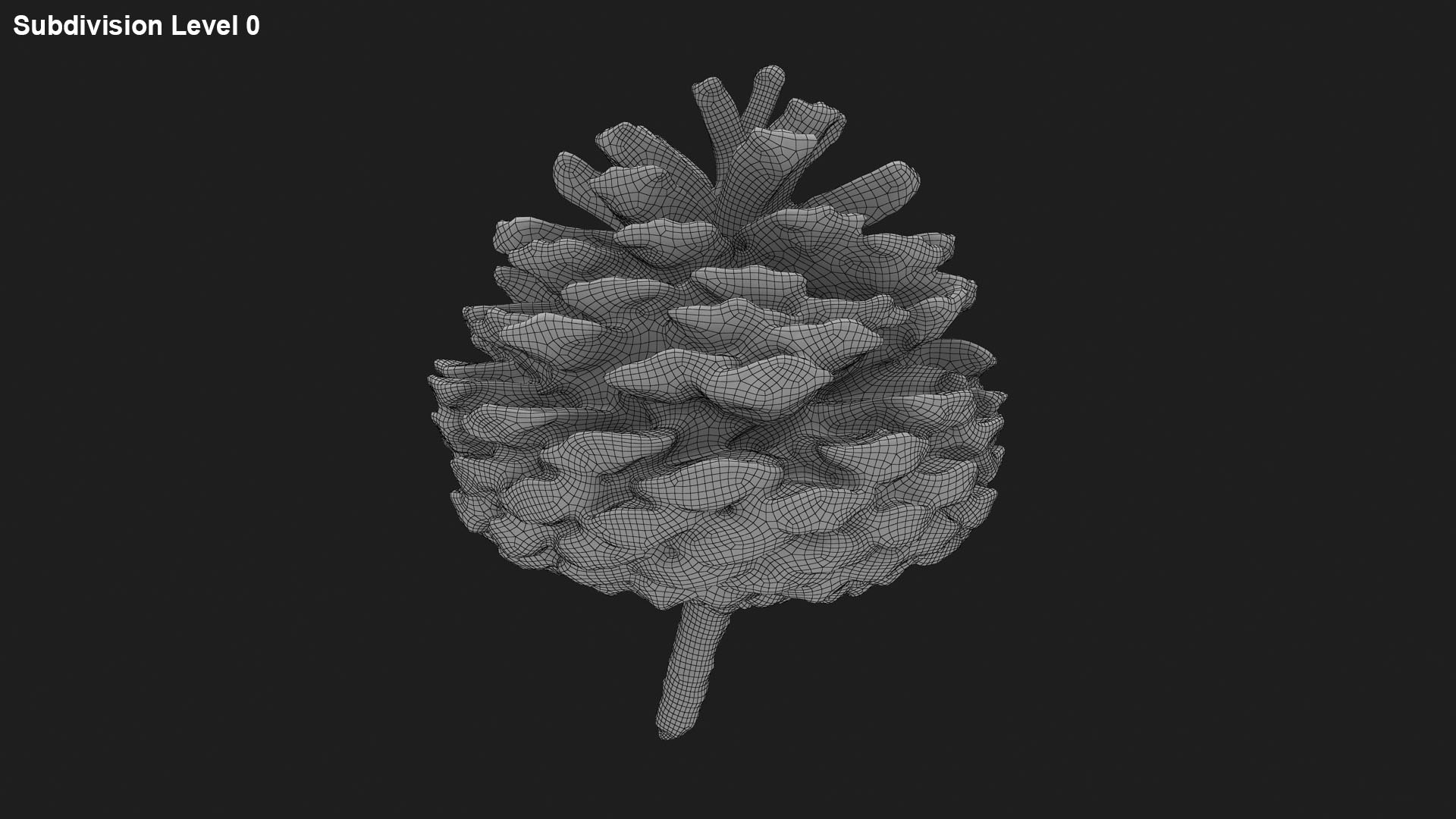 Dried Pine Cone Collection 3D Model - TurboSquid 2307812