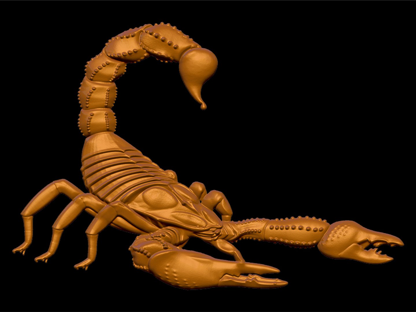 Scorpio Bas-relief Cnc