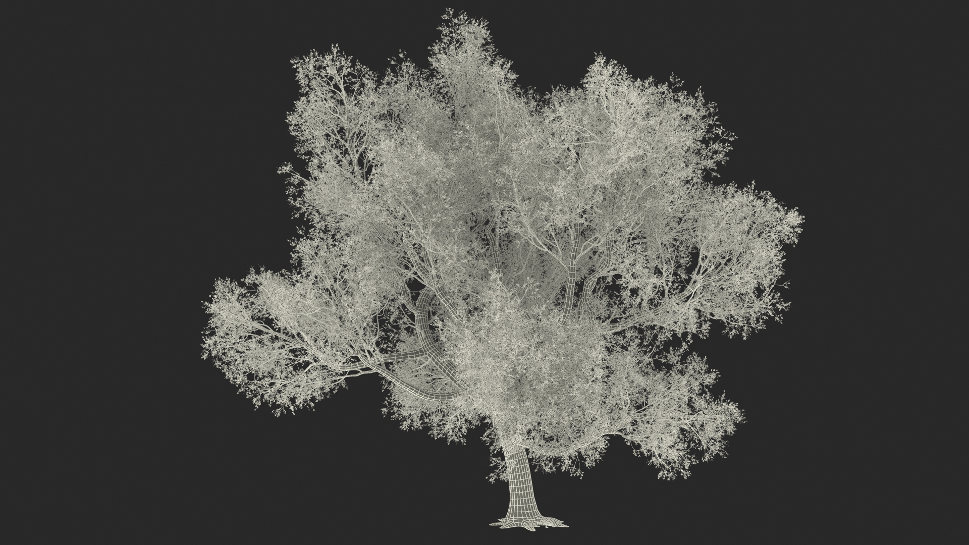 3D Green Tabebuia Avellanedae Tree - TurboSquid 1728147