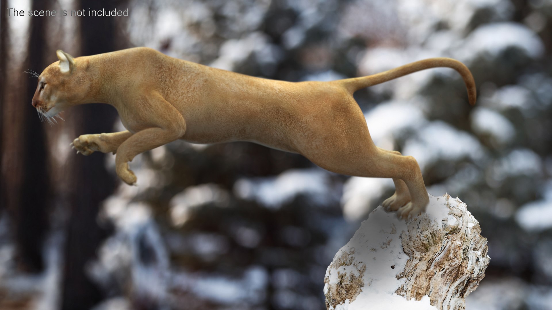 3D Jumping Puma - TurboSquid 2230640