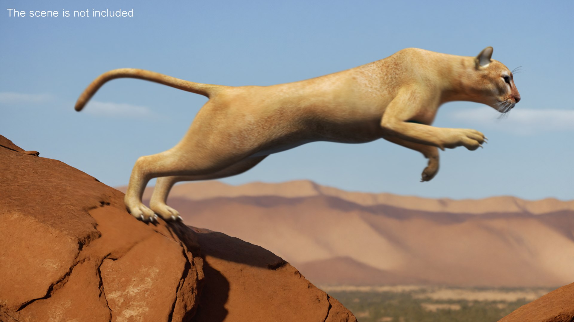 3D Jumping Puma - TurboSquid 2230640