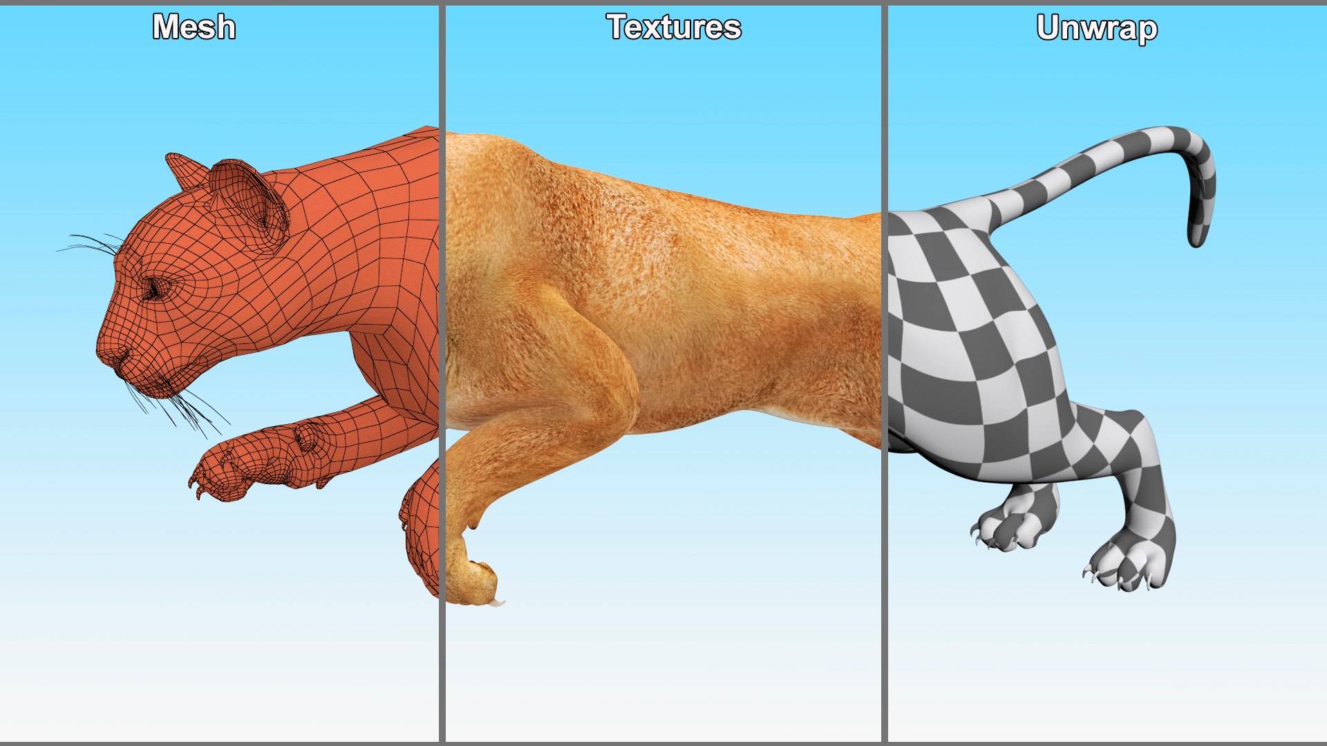 3D Jumping Puma - TurboSquid 2230640