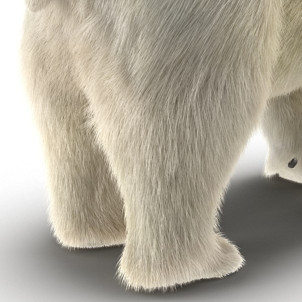 polar bear fur max