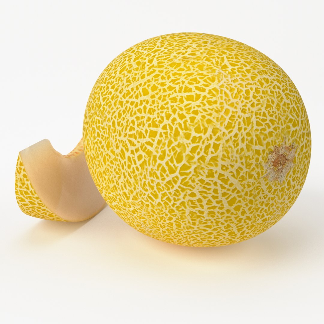 3d Model Realistic Melon Real Vegetables