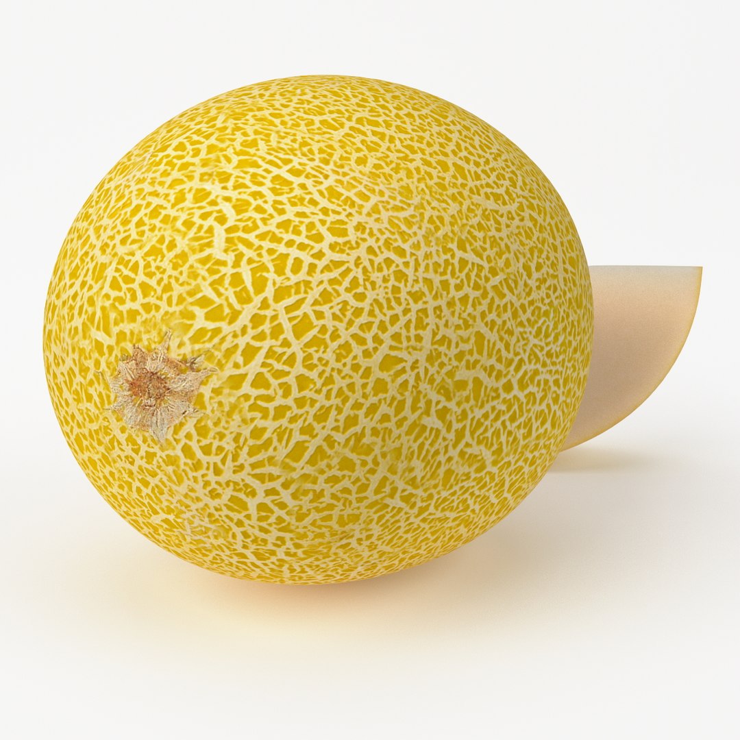3d Model Realistic Melon Real Vegetables
