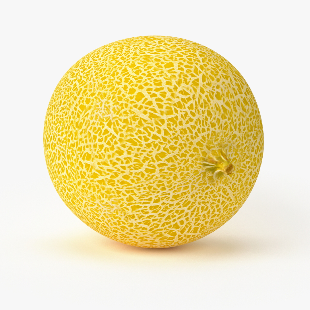 3d Model Realistic Melon Real Vegetables