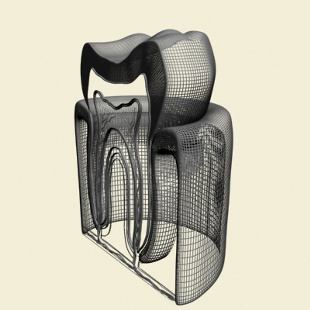 3ds Max Tooth Anatomy