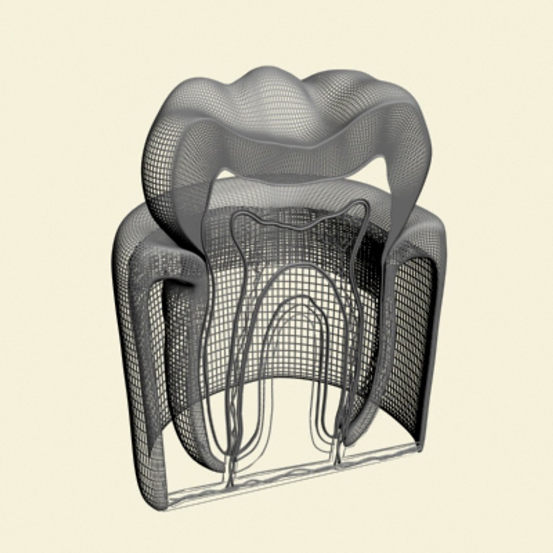 3ds Max Tooth Anatomy