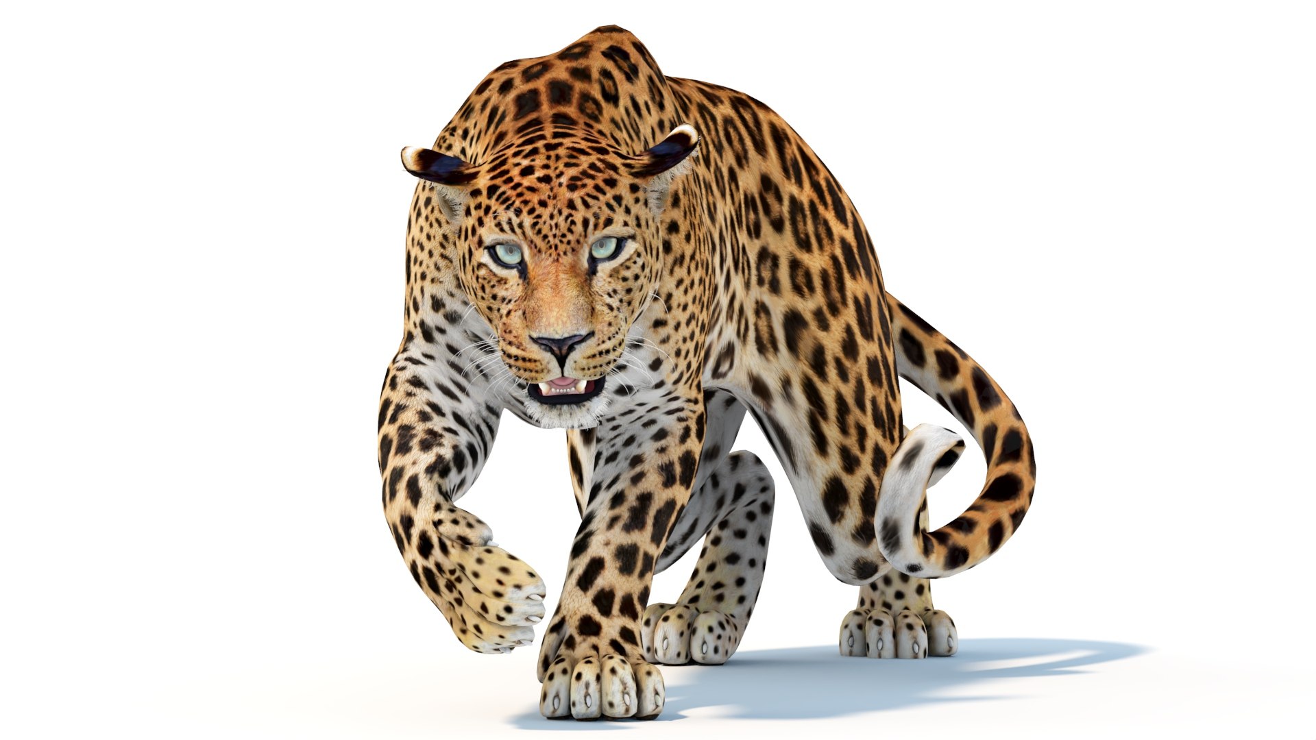 3D Model Sri Lankan Leopard Sri Lankan Leopard - TurboSquid 2284080