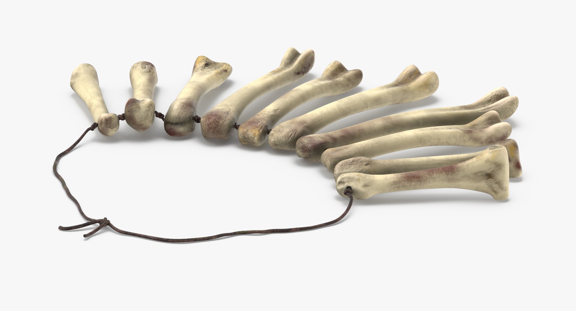 3d Bone Necklace