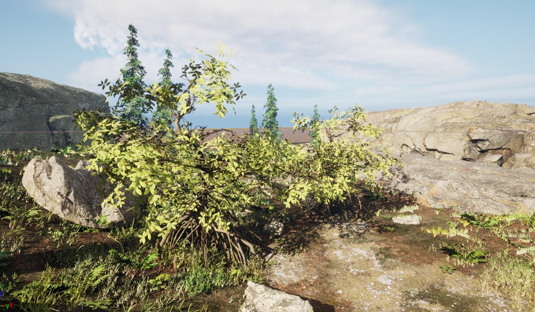 3D Model Game-Ready Mangrove Tree Low-Poly - TurboSquid 2022083