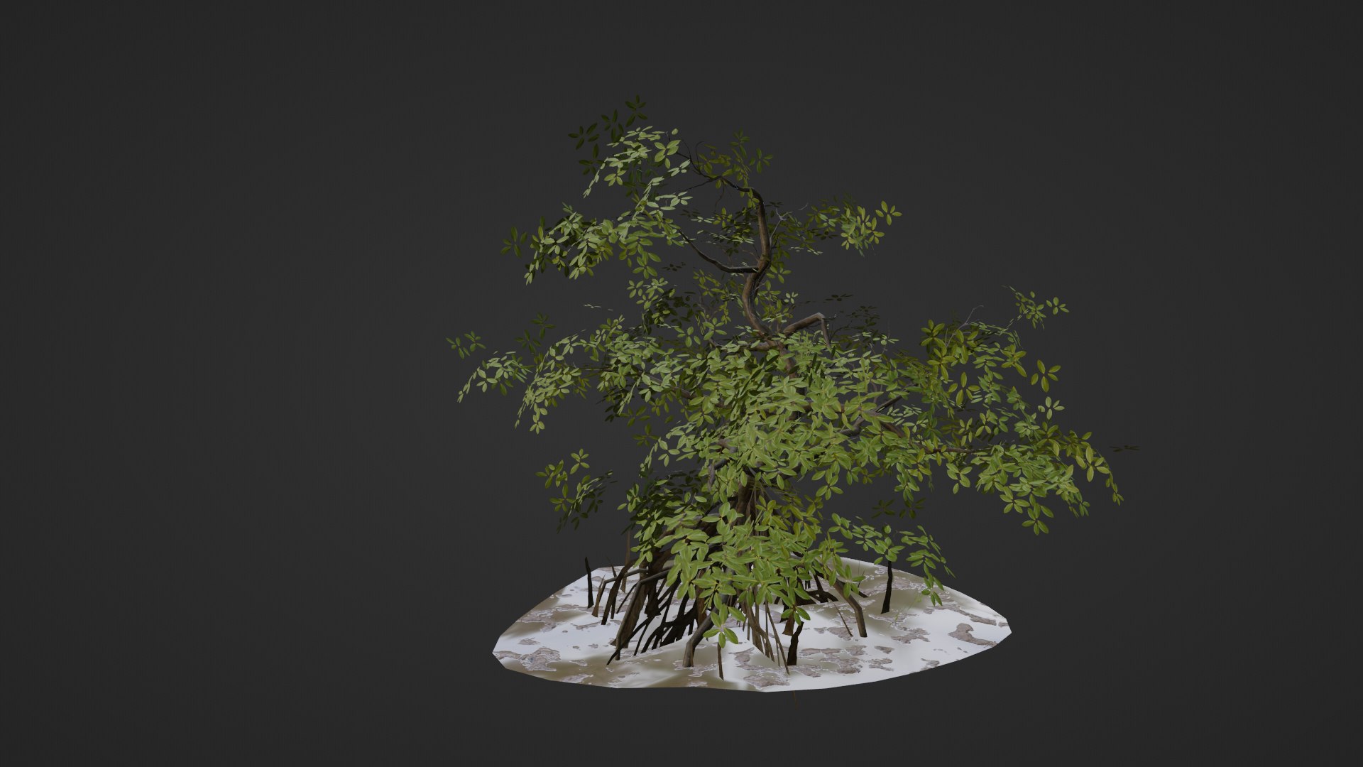 3D Model Game-Ready Mangrove Tree Low-Poly - TurboSquid 2022083