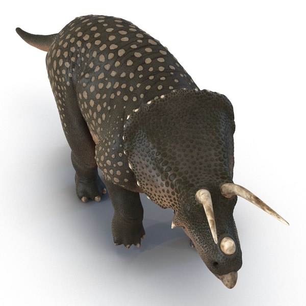 triceratops rigged 3d model