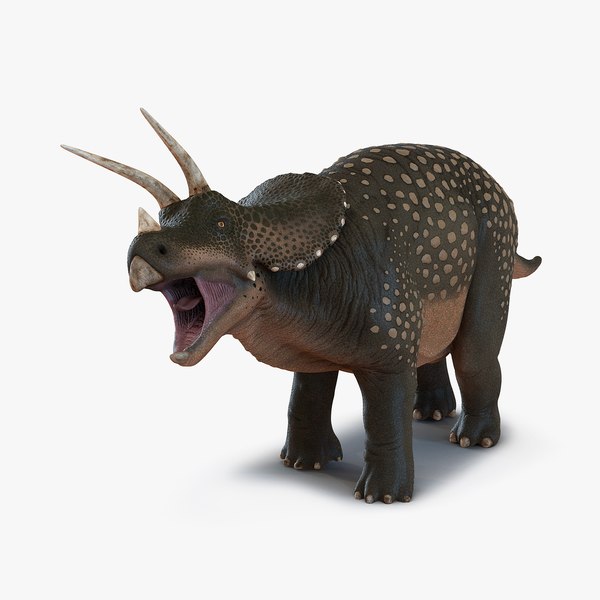 triceratops rigged 3d model