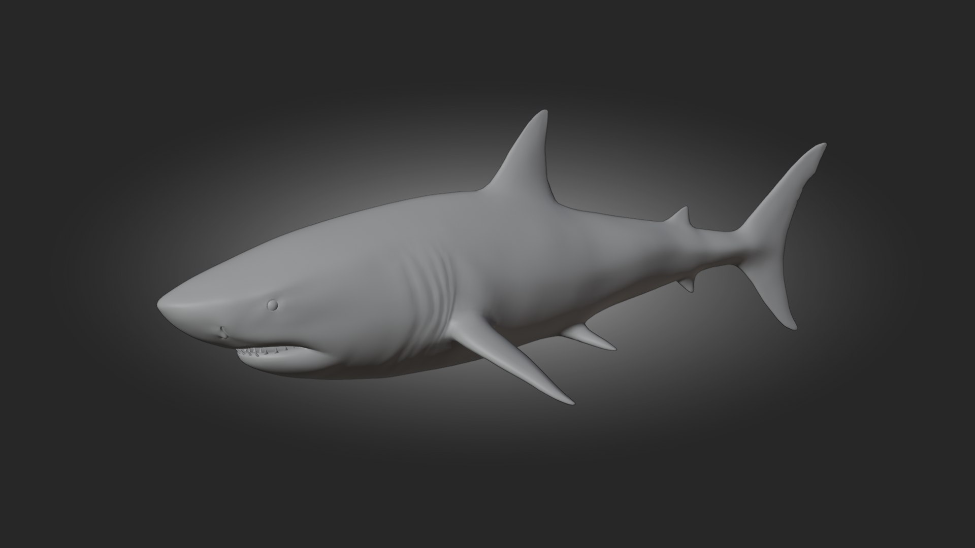 3D PBR High Quality Shark 3D Model Model - TurboSquid 2303208