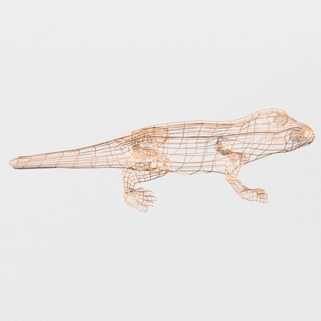 Crested Gecko 3D Model - TurboSquid 1364336