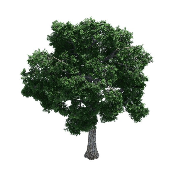 3D forest - ash tree model - TurboSquid 1448922