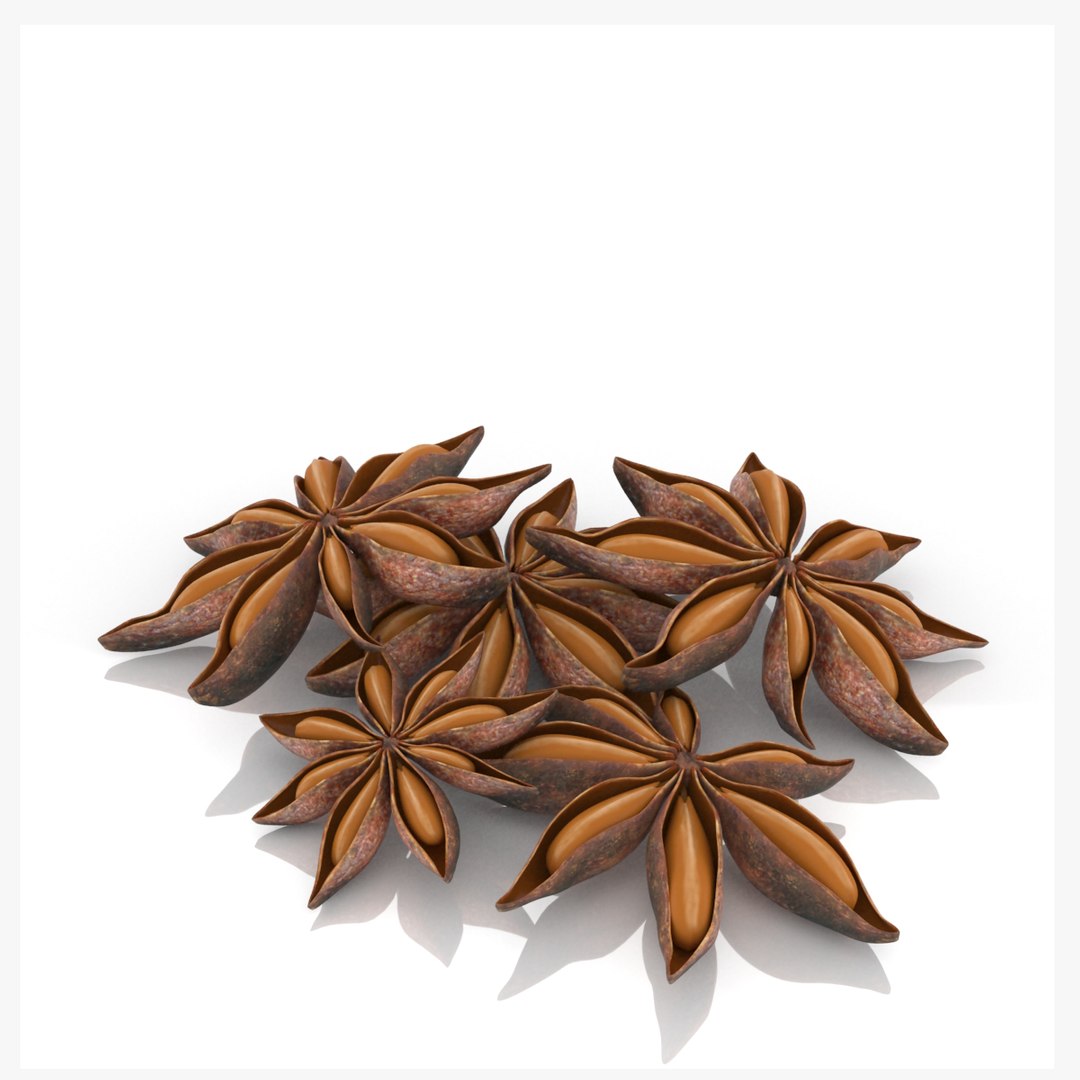 3D star-anise star spice food - TurboSquid 1463658