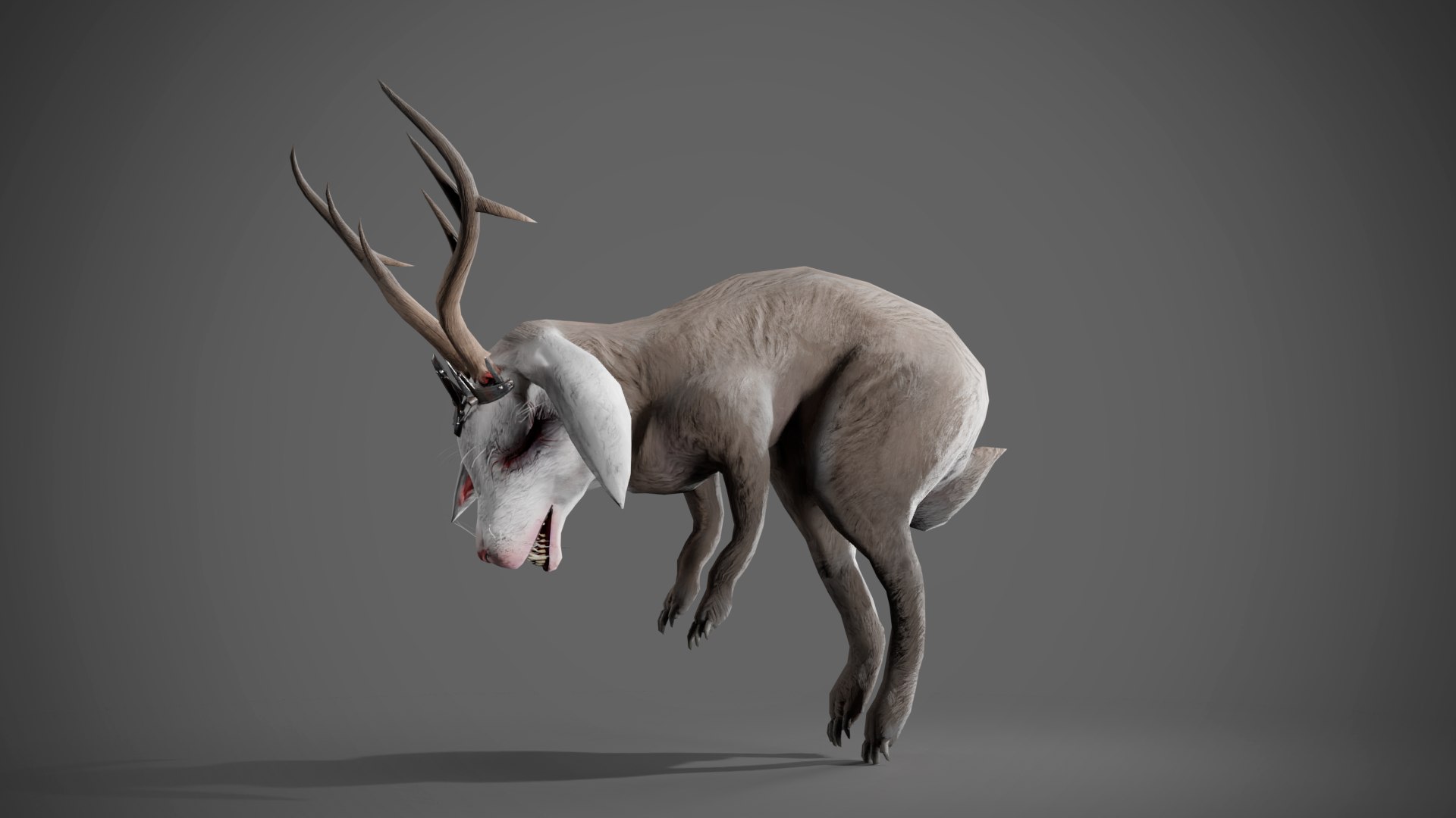 3D Undead Rabbit - Jackalope - TurboSquid 2153257