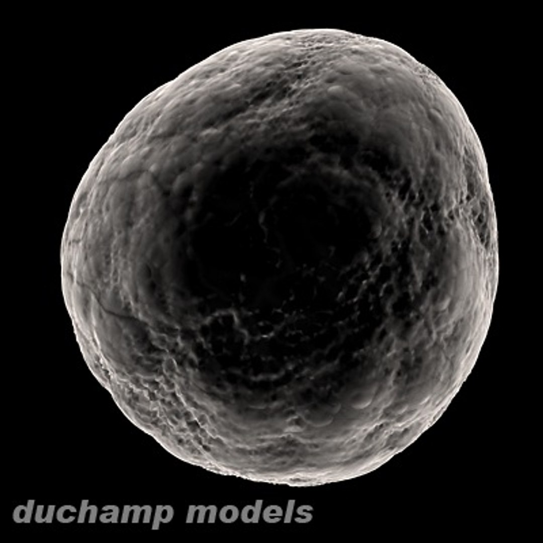 Cell Spherical Ovum 3d Model