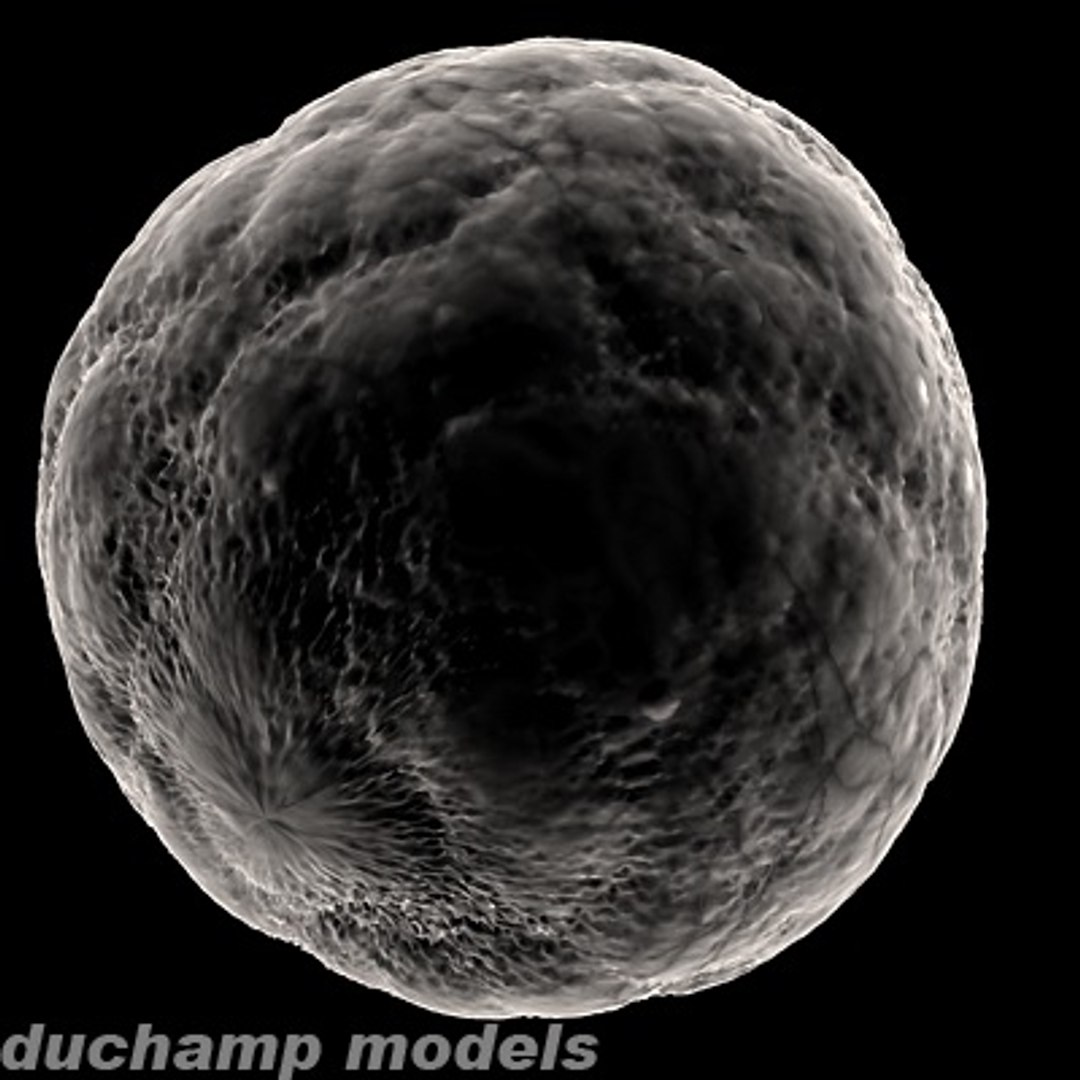 Cell Spherical Ovum 3d Model