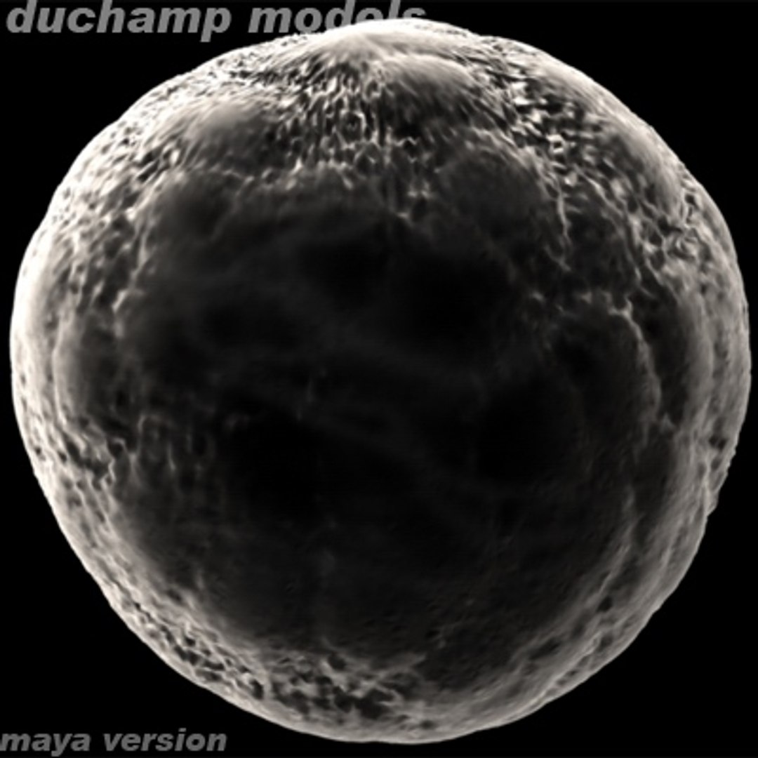 Cell Spherical Ovum 3d Model