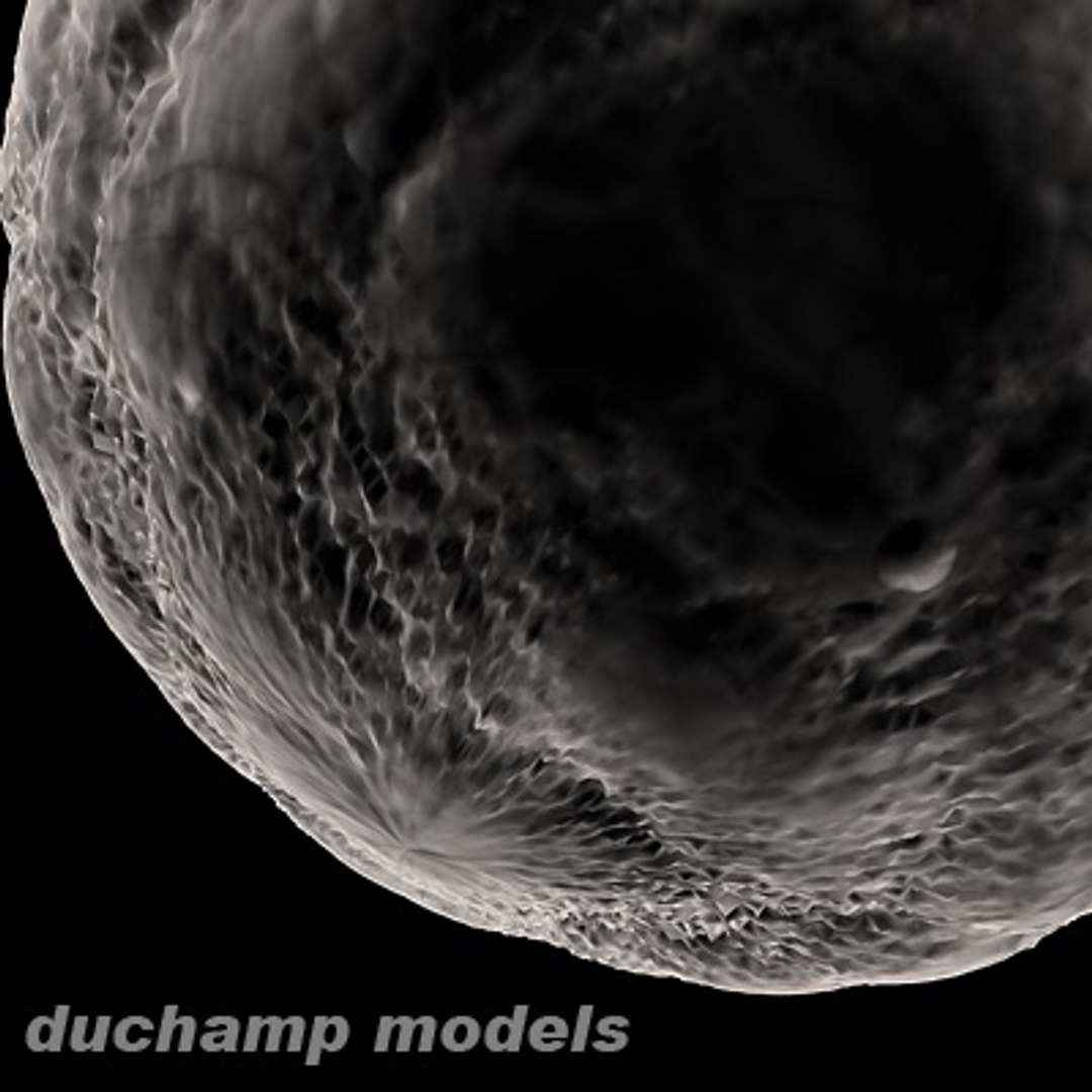 Cell Spherical Ovum 3d Model