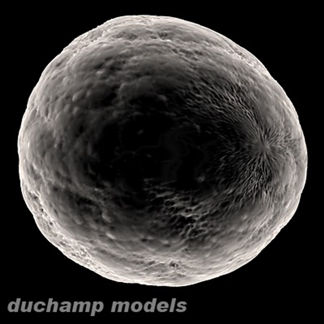 Cell Spherical Ovum 3d Model