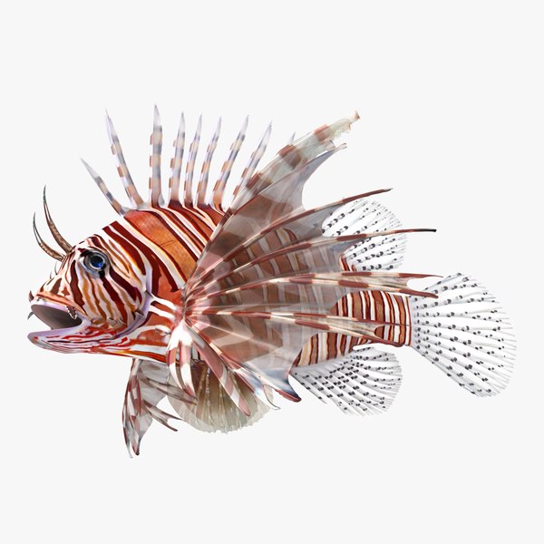 3d lion fish rigged