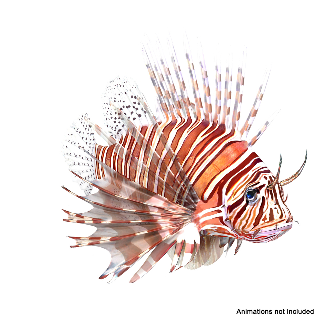 3d Lion Fish Rigged