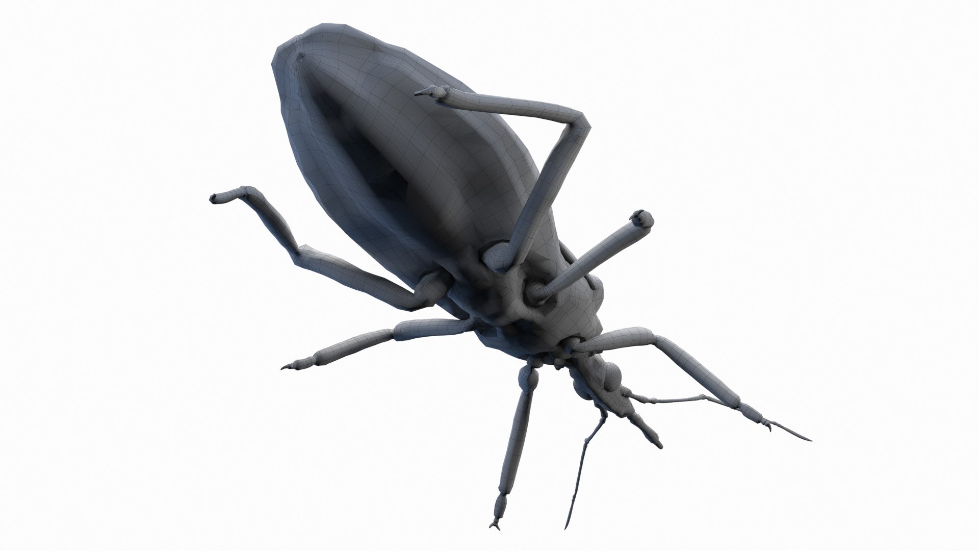 Kissing Bug 3D Model - TurboSquid 1962531