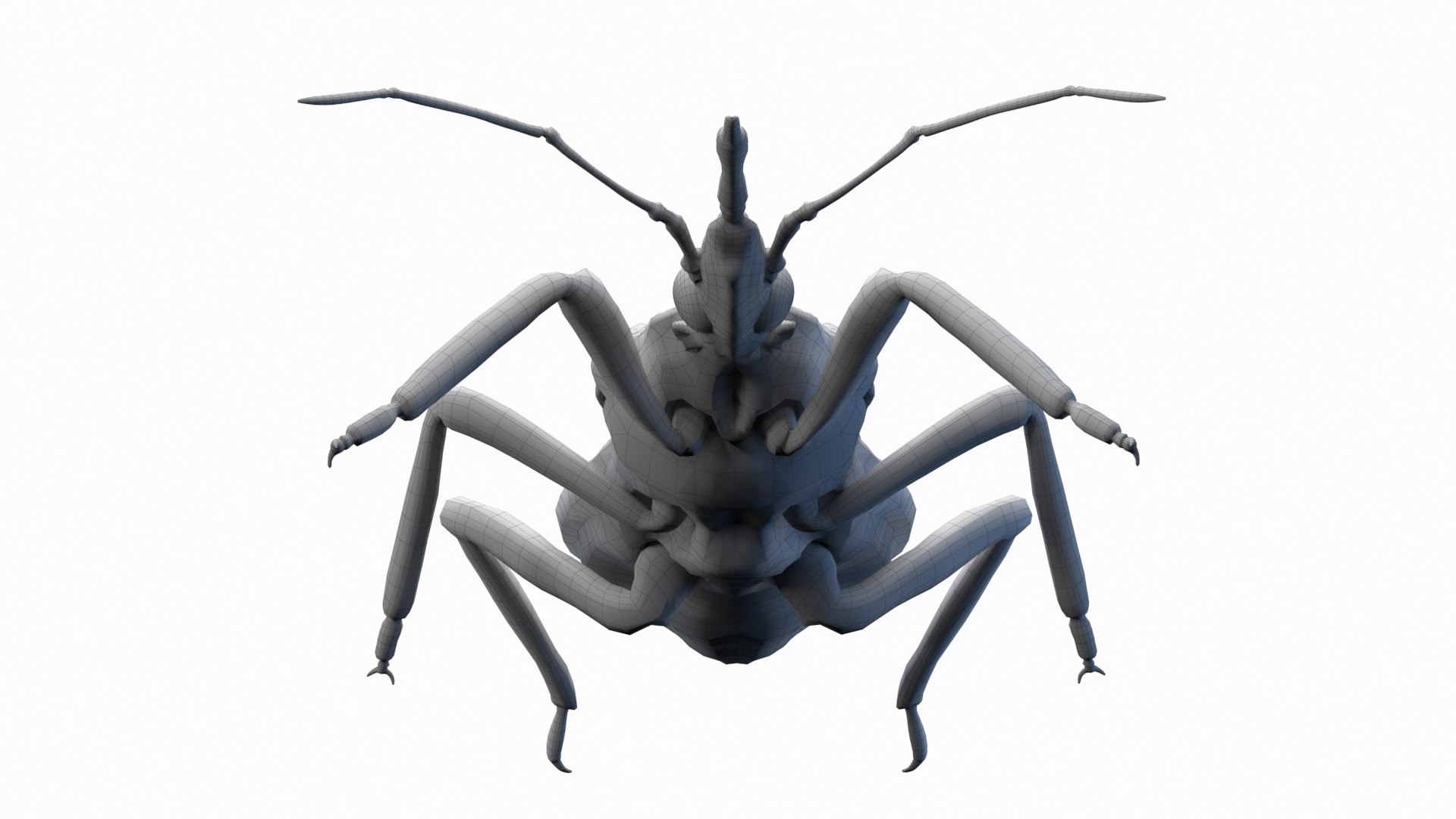 Kissing Bug 3D Model - TurboSquid 1962531