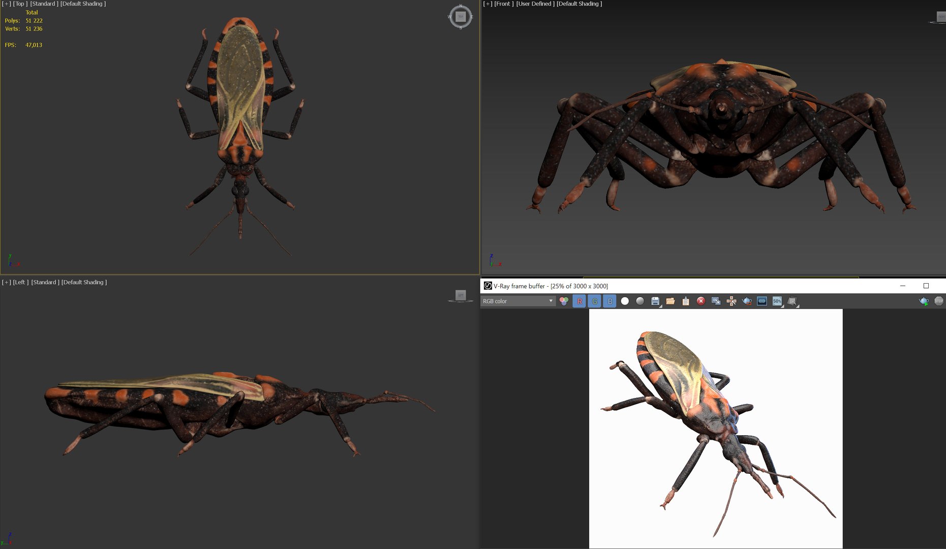 Kissing Bug 3D Model - TurboSquid 1962531