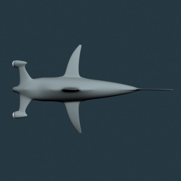 3d hammerhead shark cartoon character model