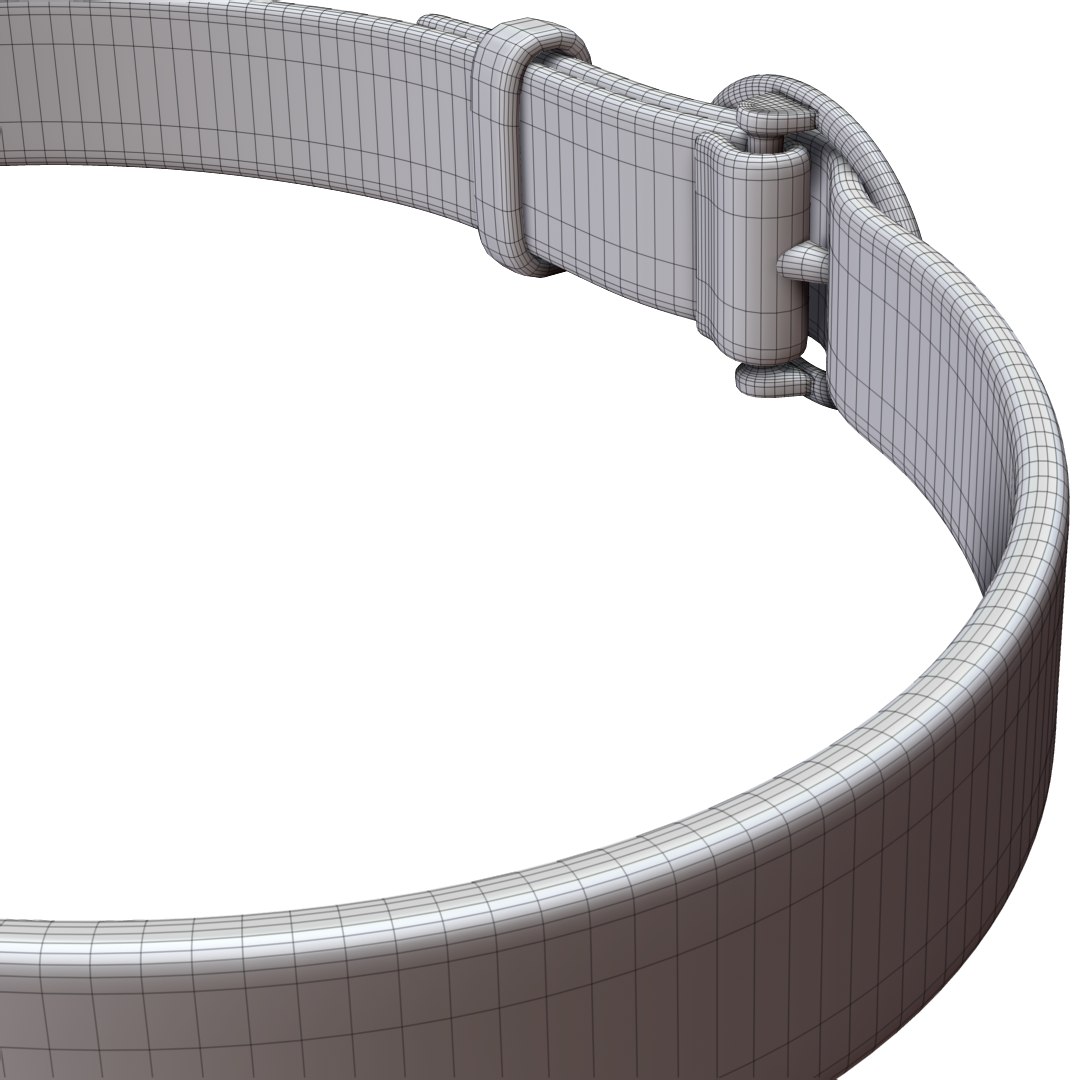 3D Belt Model - TurboSquid 1165192