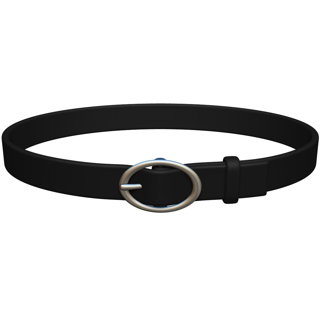 3D Belt Model - TurboSquid 1165192