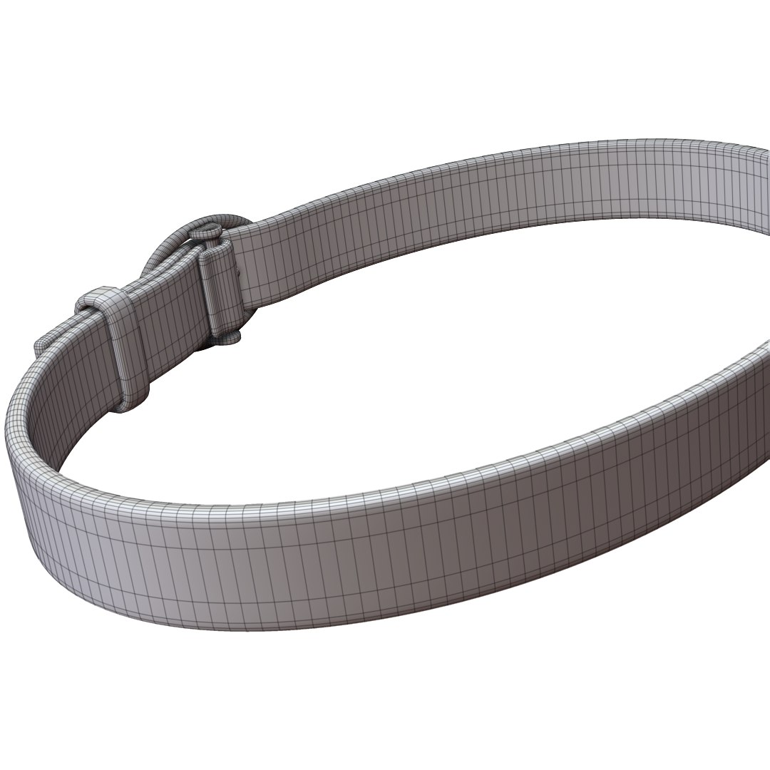 3D Belt Model - TurboSquid 1165192