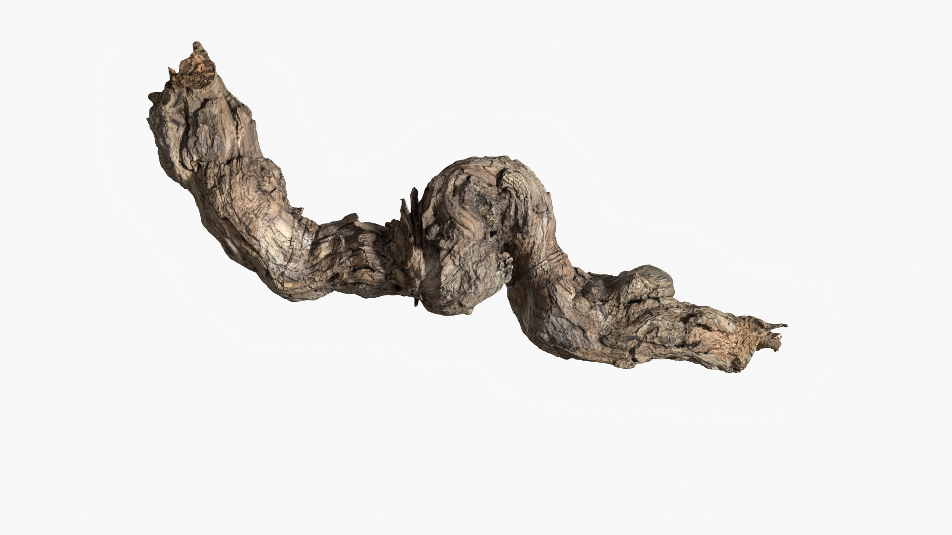 3D Model Grapevine Bark 3D Scanned StemCell - TurboSquid 2282664